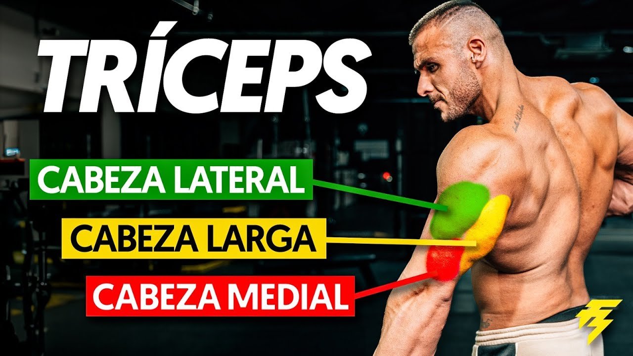 Los 7 mejores ejercicios para tríceps en el gym