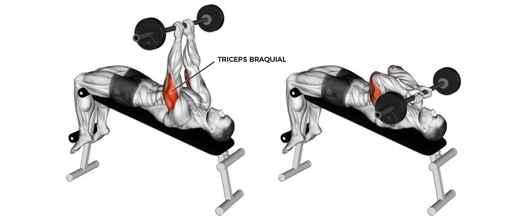 Press francés para tríceps: técnica, músculos y variantes